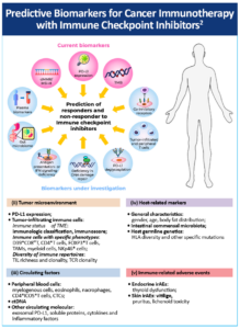 Biomarker-Directed Use of Immune Checkpoint Inhibitors for NSCLC – NSCLC